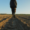 Sunrise AG Insurance Agency | Agriculture Insurance Policies | Amarillo, TX